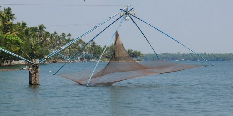 ദേശാടനം – ഓൺലൈൻ മലയാളം